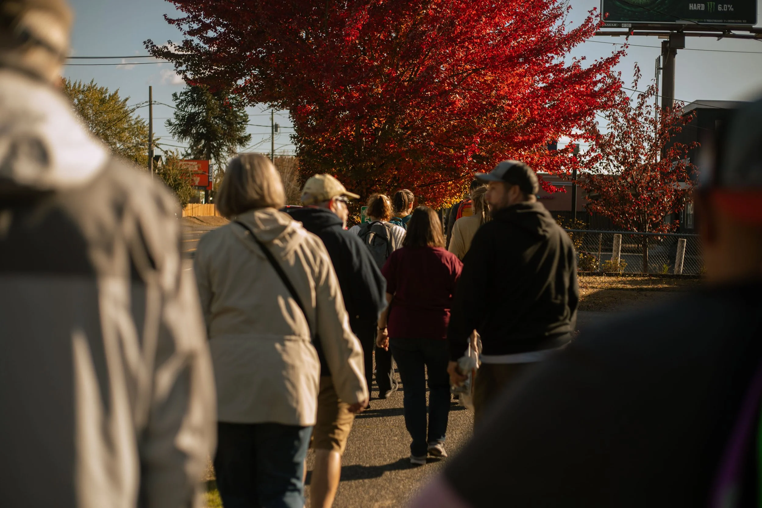 Tacoma Tree Foundation