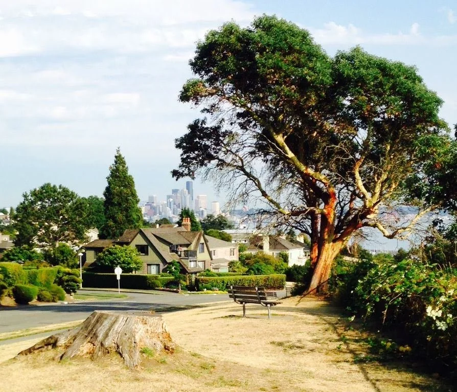 Trees of Significance: The Pacific Madrone as Role Model for Change and ...