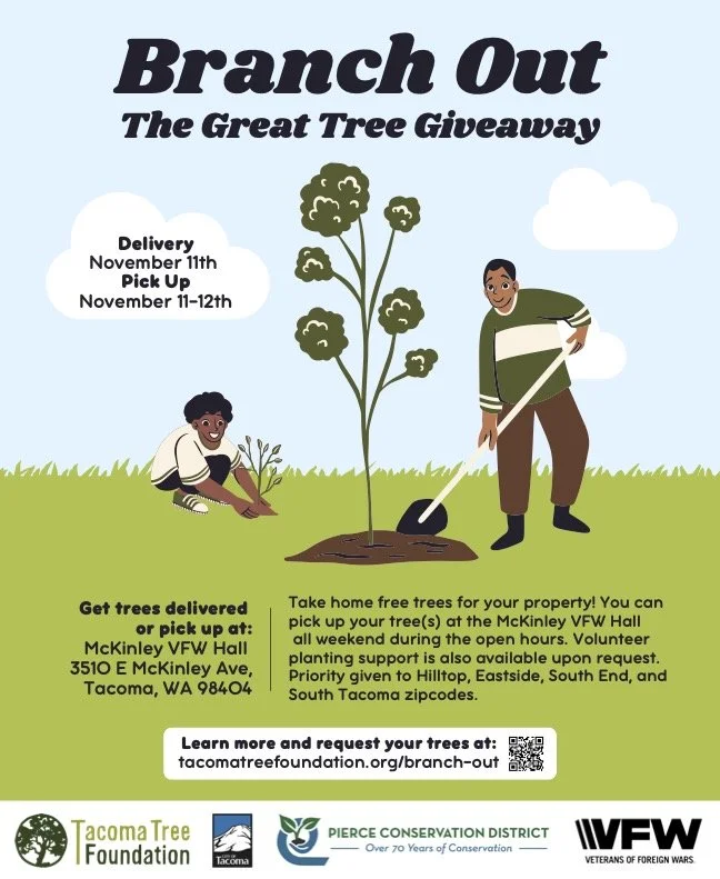 Branch Out: The Great Urban Tree Giveaway — Tacoma Tree Foundation