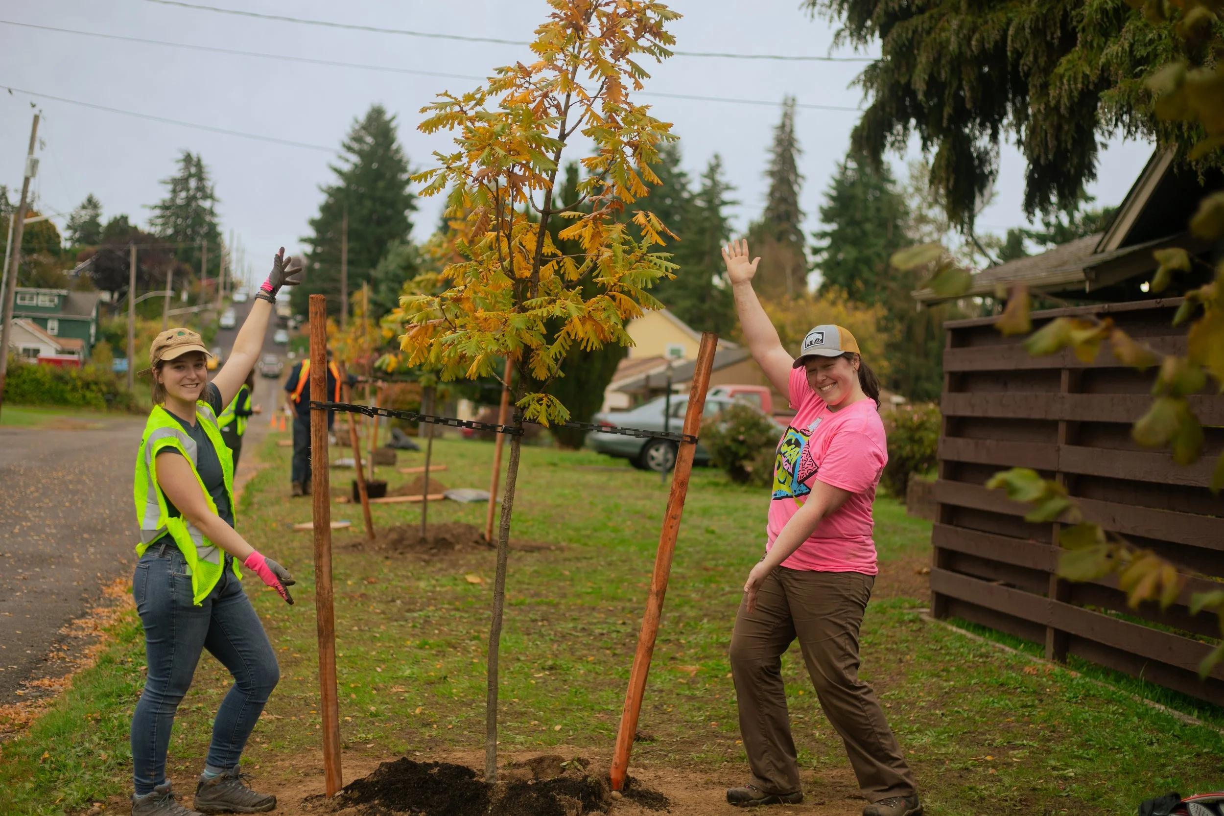 Programs — Tacoma Tree Foundation