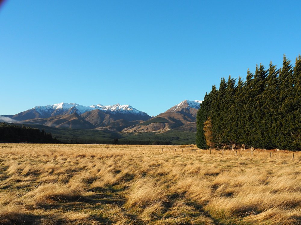 Our Story — Mangapiri Downs