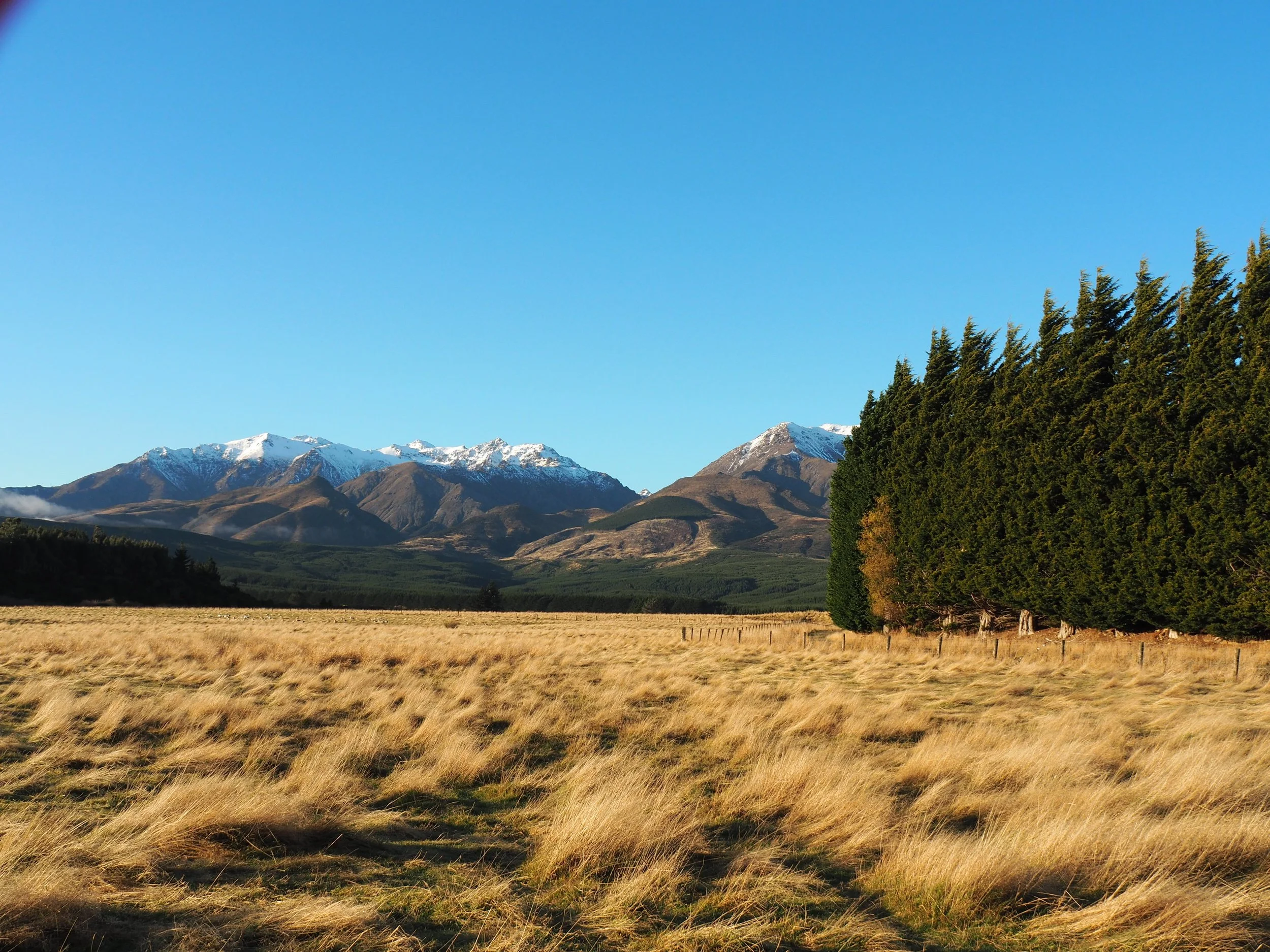Our Story — Mangapiri Downs
