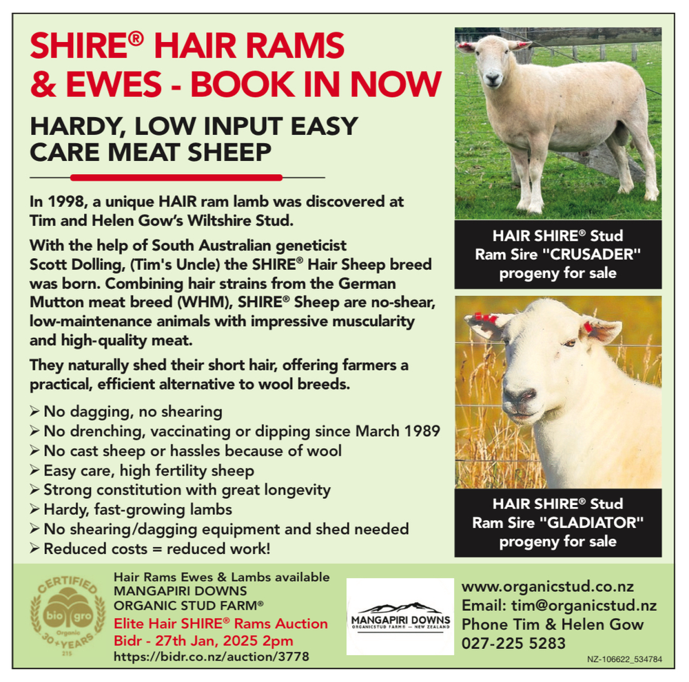 Order Rams & Ewes — Mangapiri Downs