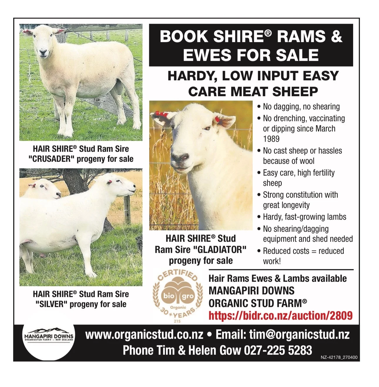 Order Rams & Ewes — Mangapiri Downs