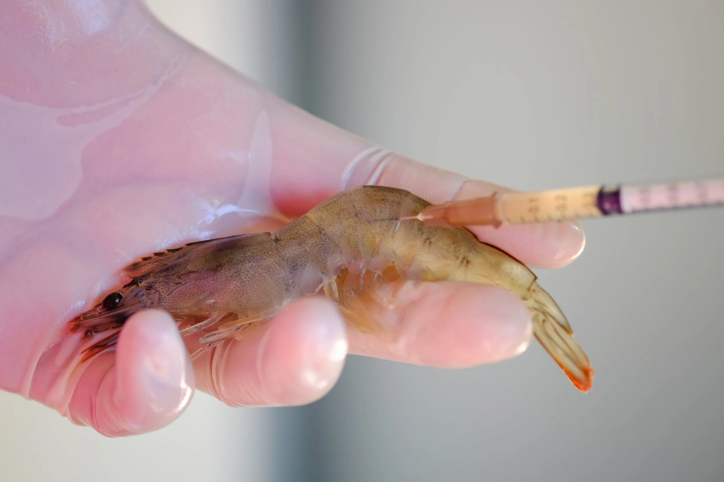 RYNAN Aquaculture Blog — RYNAN Aquaculture