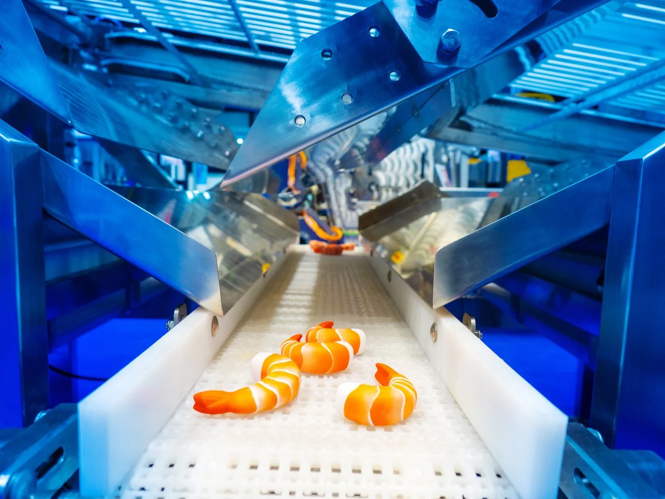 RYNAN Aquaculture Blog — RYNAN Aquaculture