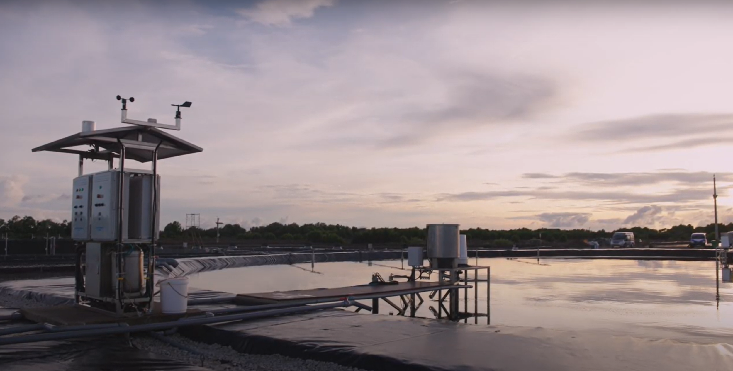 RYNAN Aquaculture Blog — RYNAN Aquaculture