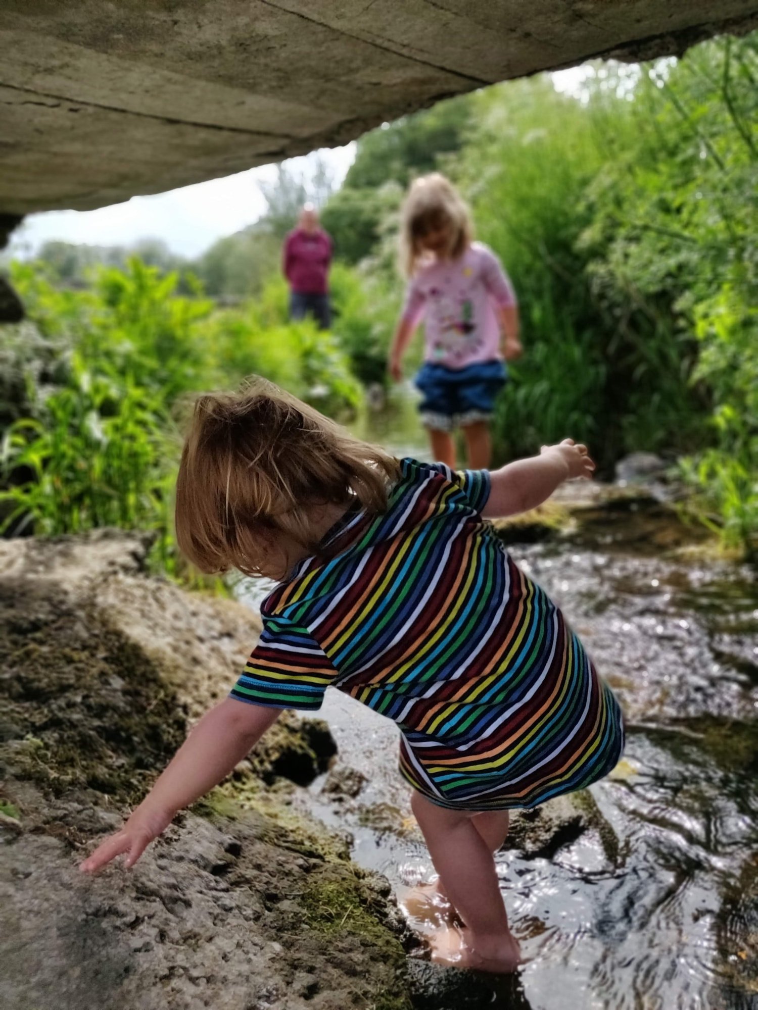 Wildflowers Forest School