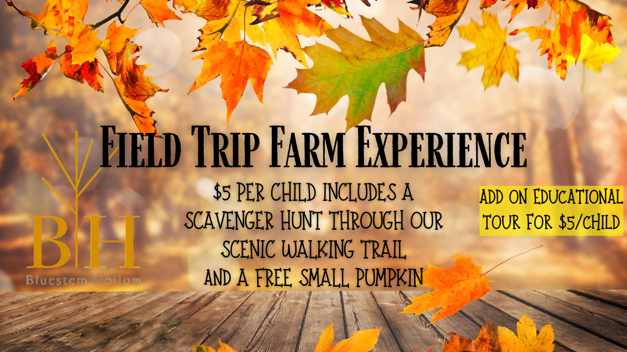 Field Trip