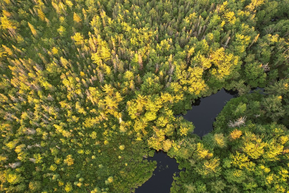 Pemsɨk Mawa’tasikl Anko’tmu’kl
