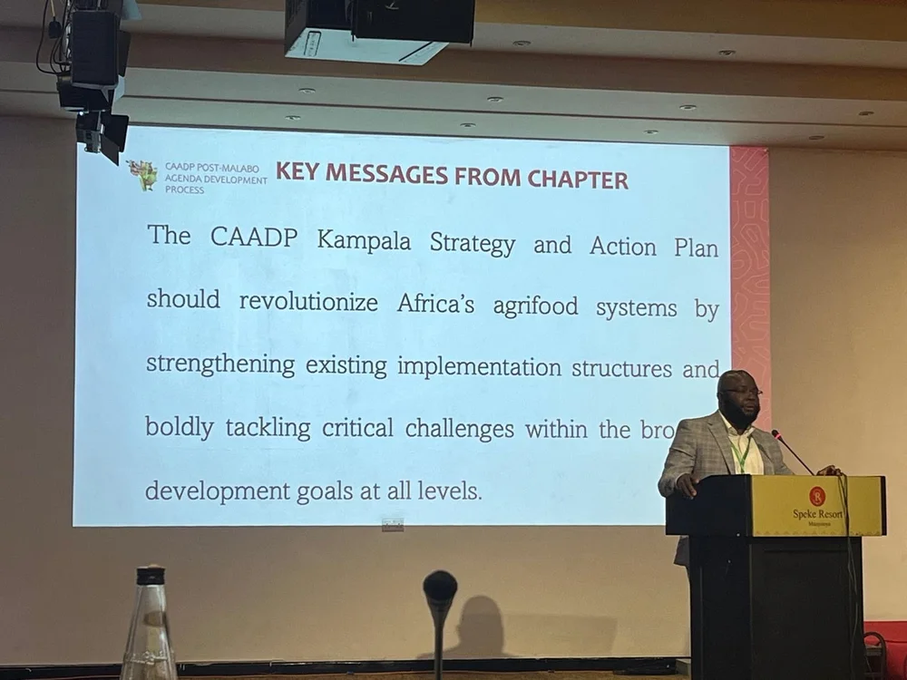Understanding the CAADP Strategy and Action Plan for 2026-2035 — Shamba ...