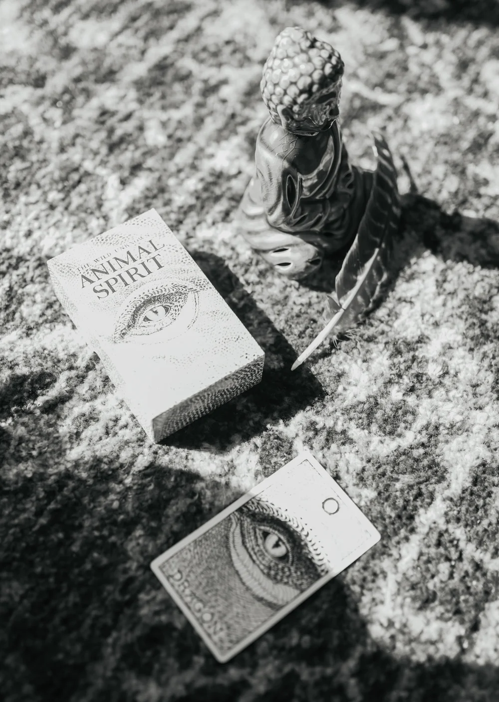 GYPSY TAROT CARD READINGS — Caught Dreamin'