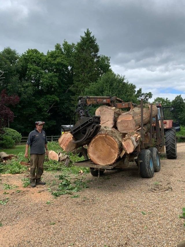 About — Tree Fellas