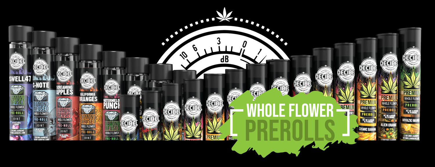 PREROLLS — Decibel Gardens