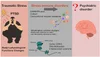 Trauma, Inflammation and the Immune System — Kat Smith | EMDR | Trauma ...