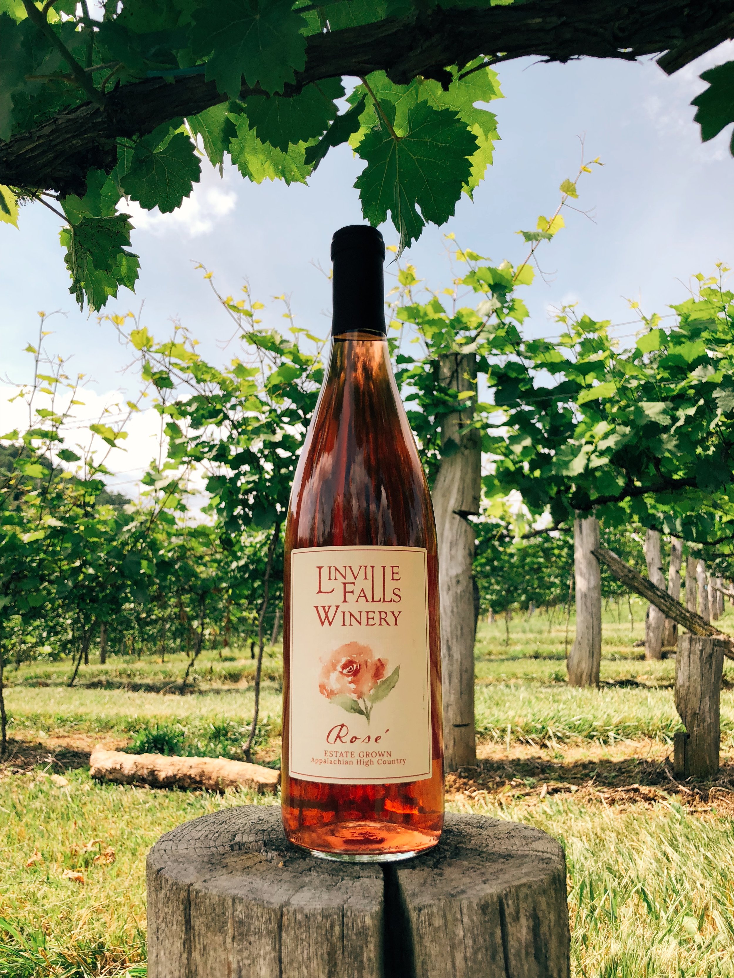 About Our Wines — Linville Falls Winery