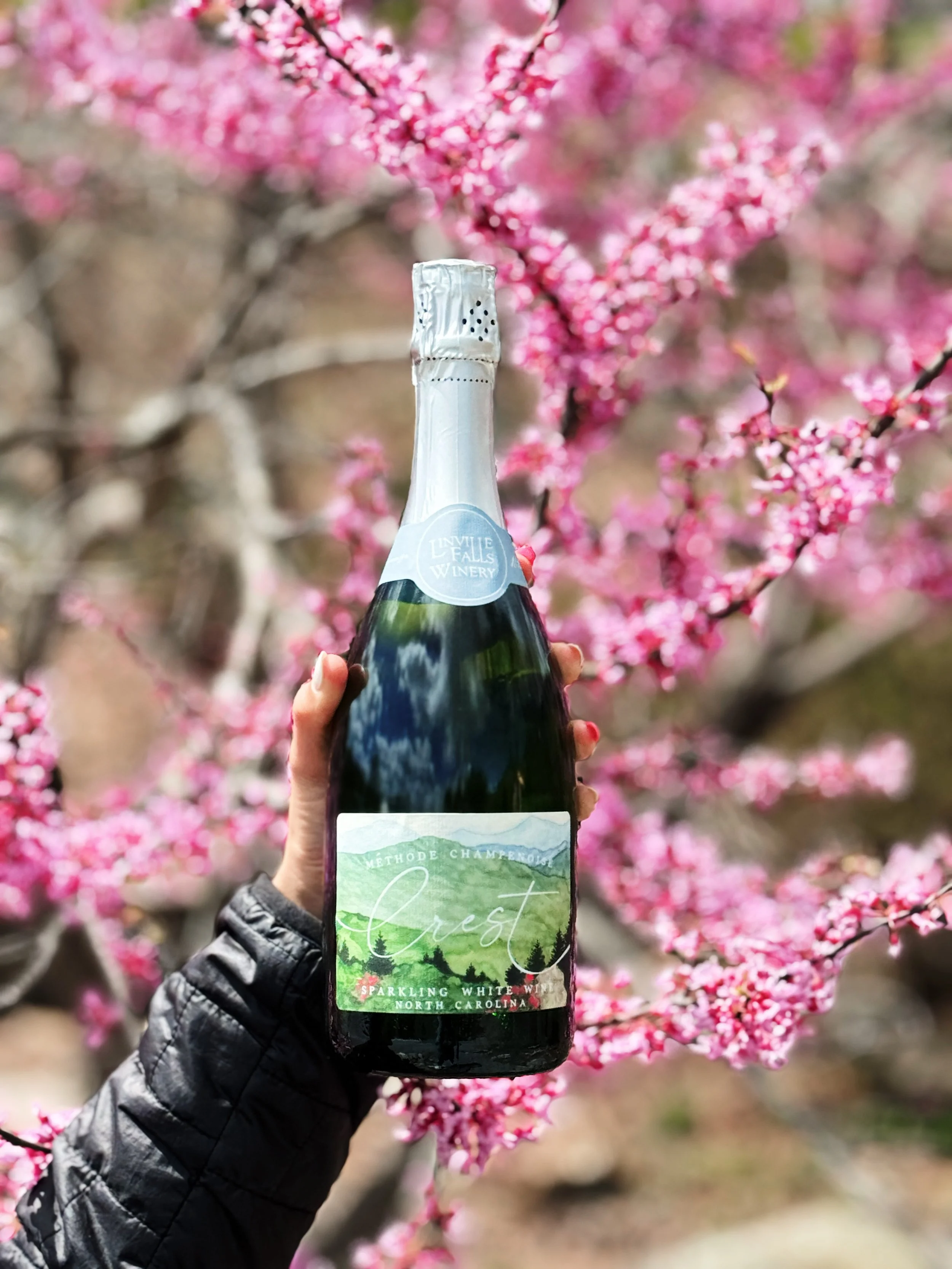 Crest — Linville Falls Winery