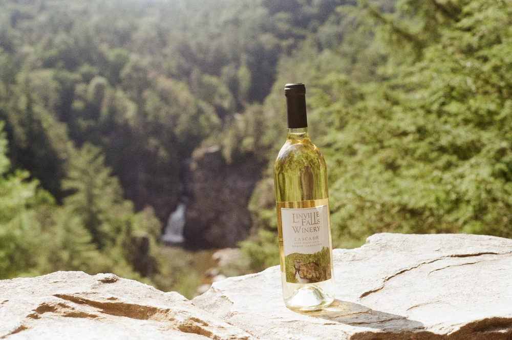 About Our Wines — Linville Falls Winery