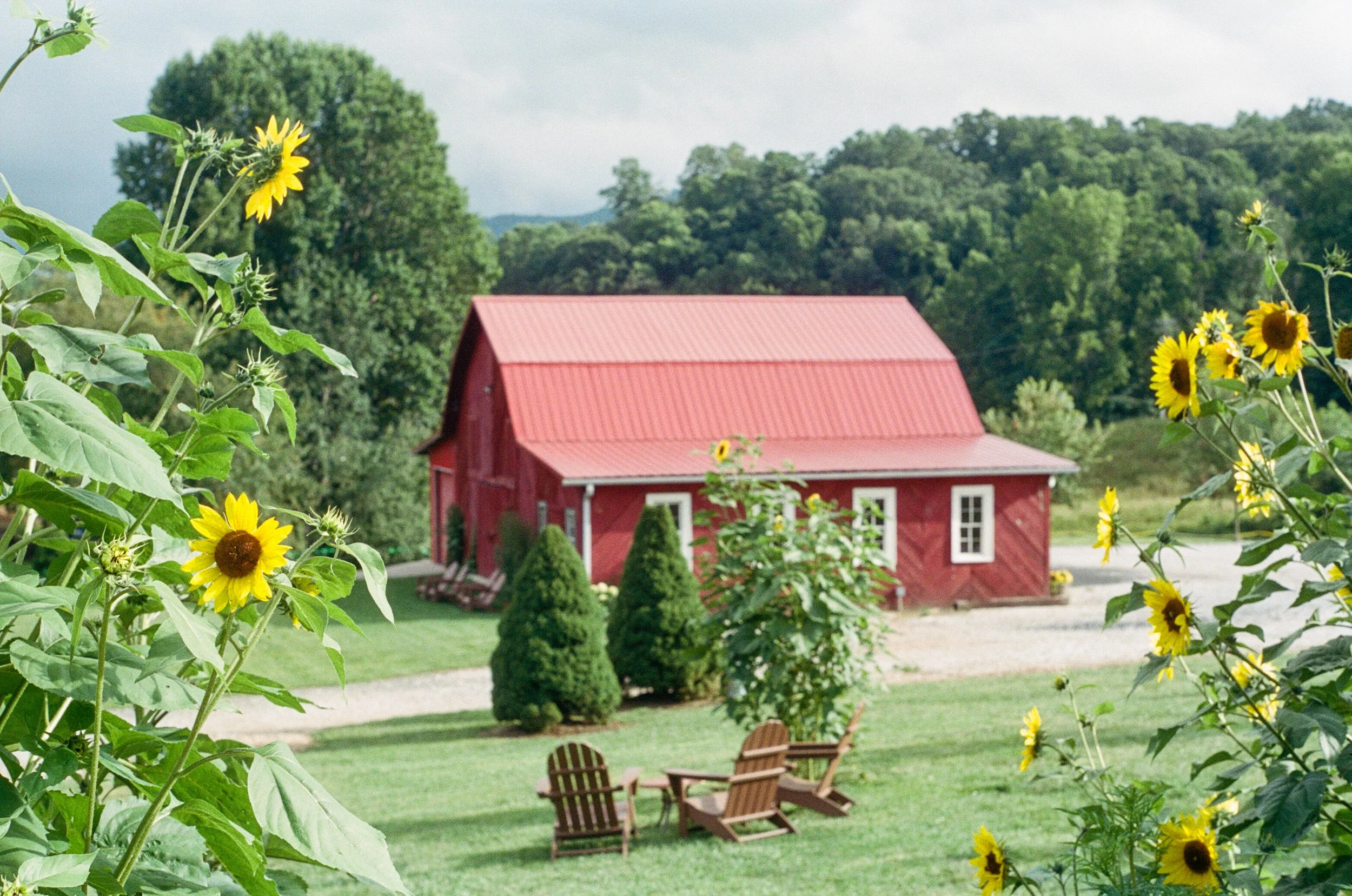 Food Trucks — Linville Falls Winery