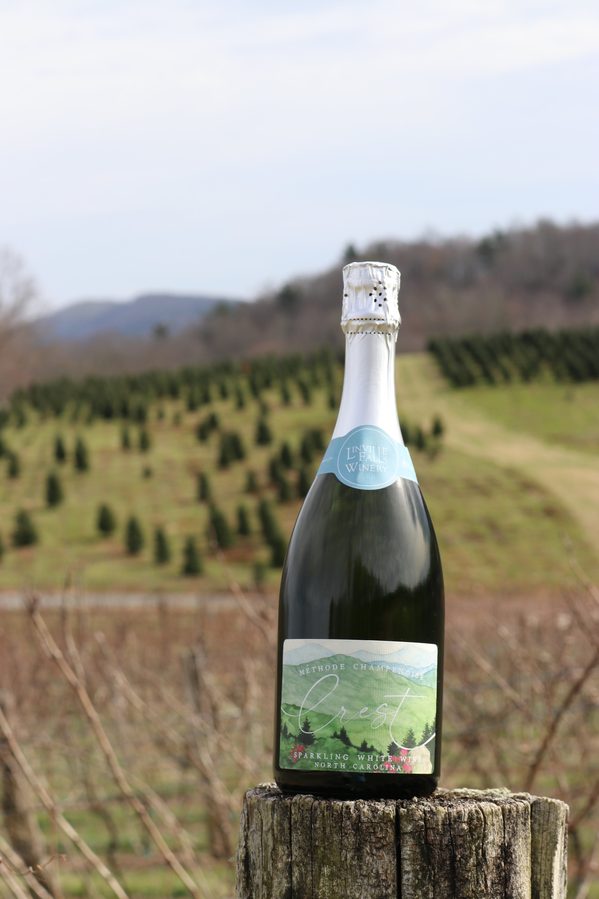 Crest — Linville Falls Winery