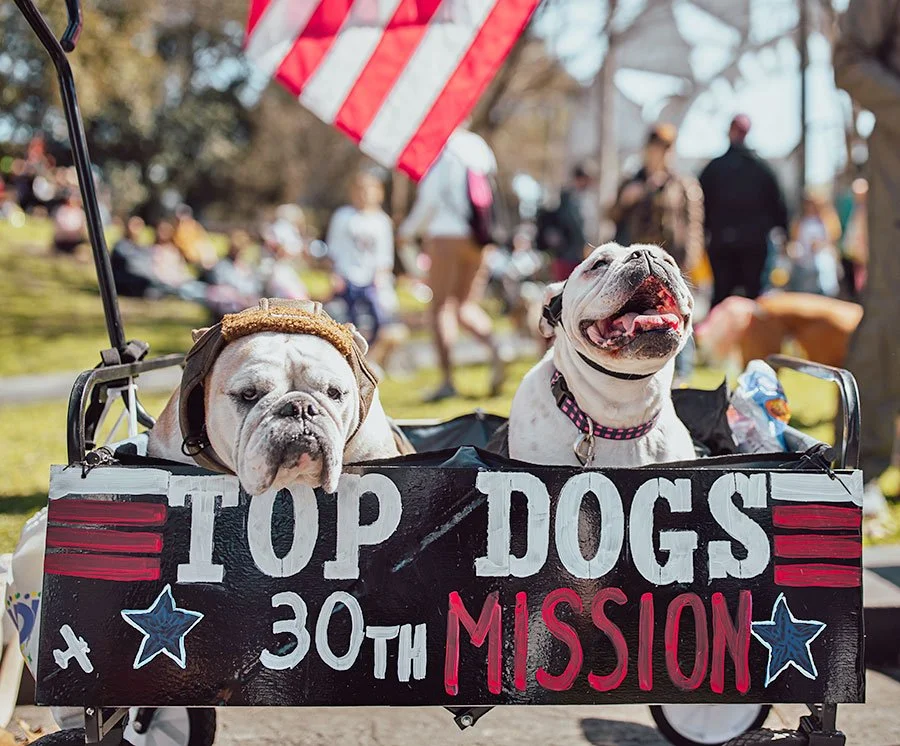 Barkus Parade 2023