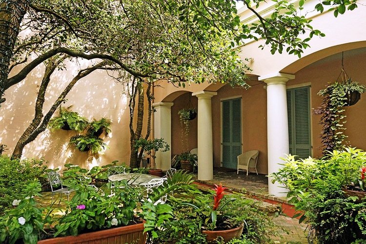 Four Courtyards and Mail-Order Tree Frogs