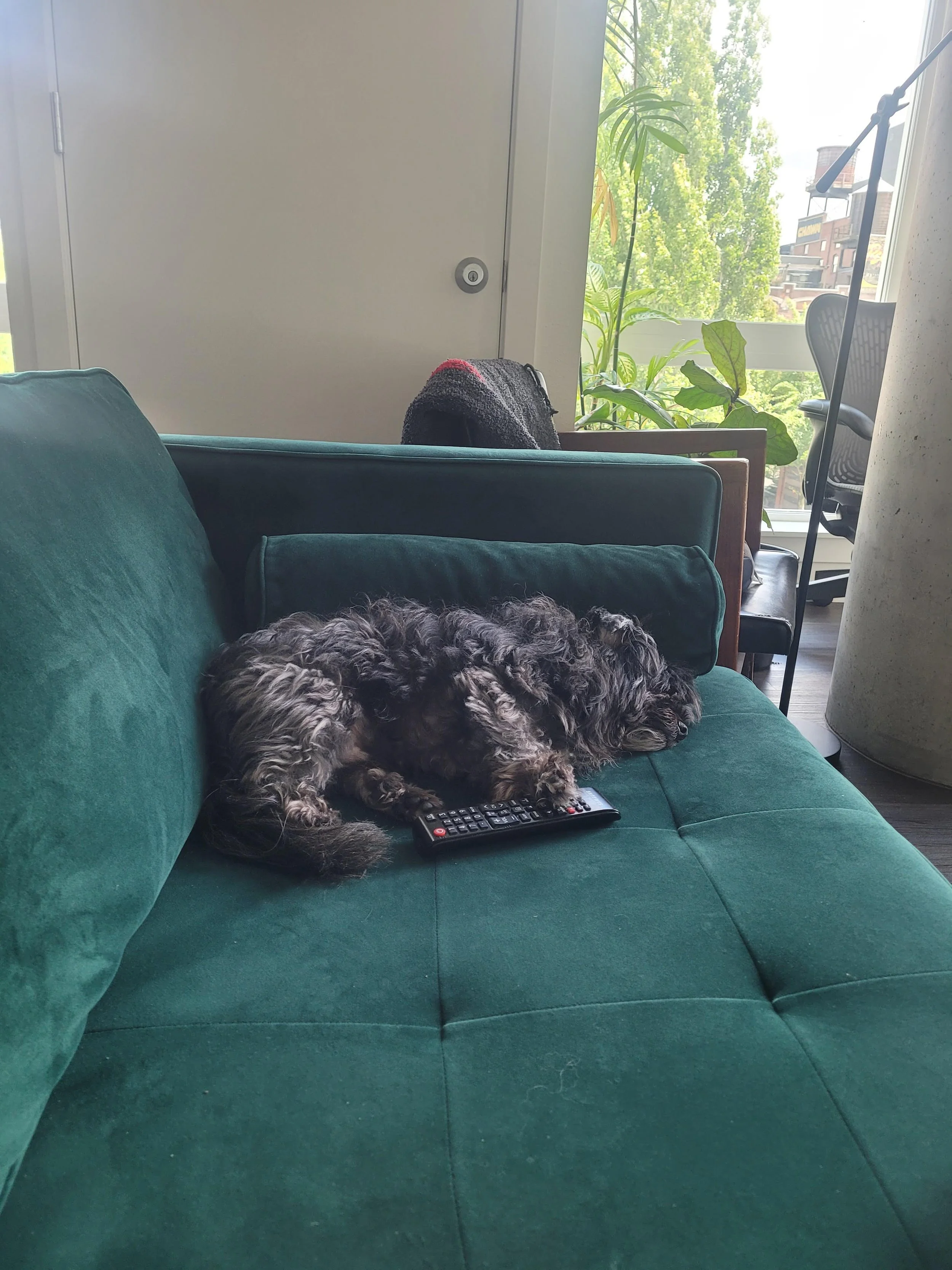 Provider Spotlight | Jennifer Salomon, Occupational Therapist — DotCom ...