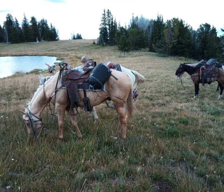 Timber Ridge Lake Resort - Near Lake Rathbun, IA