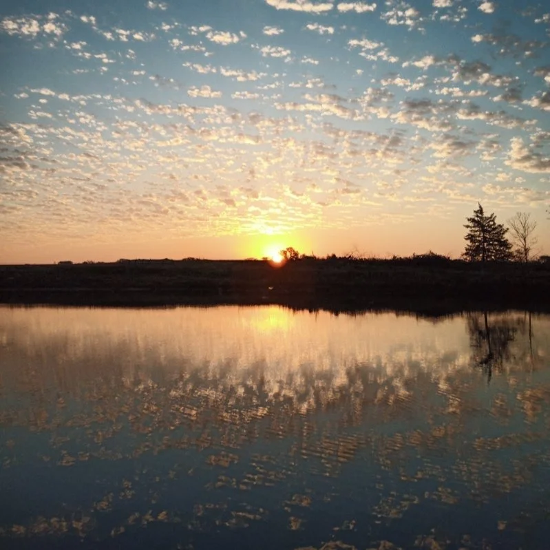 Timber Ridge Lake Resort - Near Lake Rathbun, IA