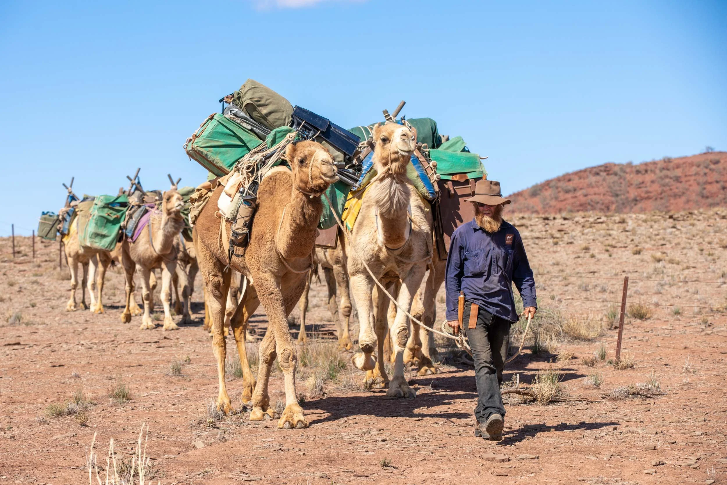 Flinders and Beyond Camel Treks