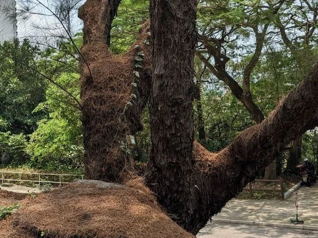 Green Assets Management — LEAFIoT