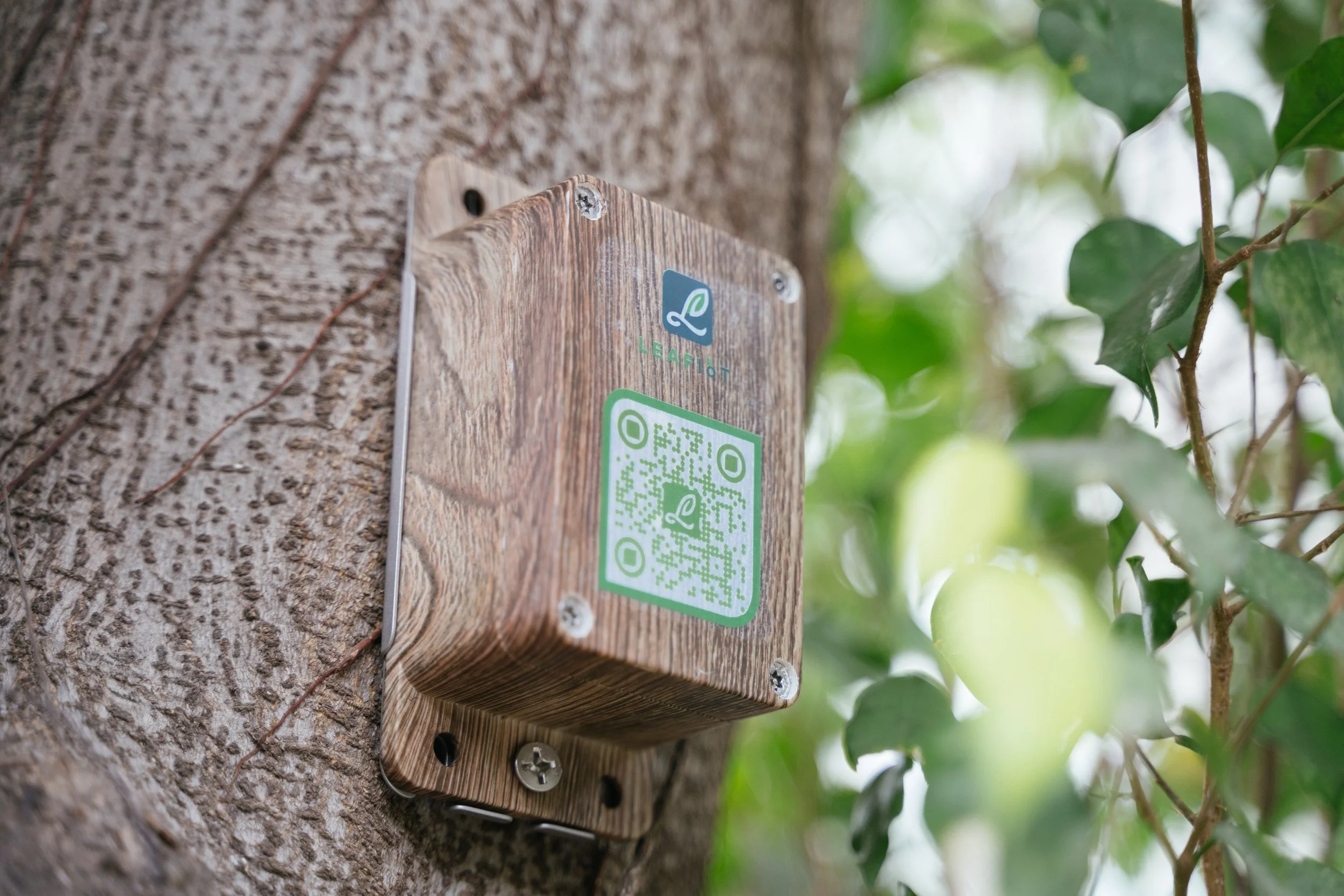 LiFY-T Tree Tilt Sensor | Real-Time Monitoring & Safety Alerts — LEAFIoT