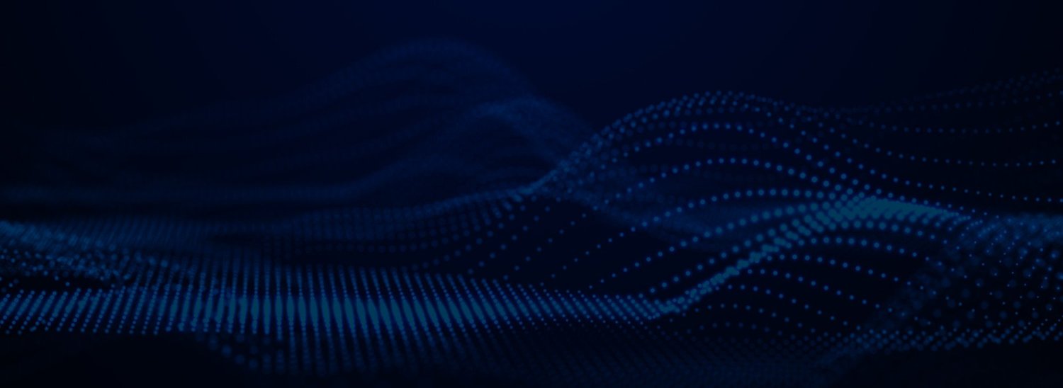 BLUEGEM CAPITAL PARTNERS