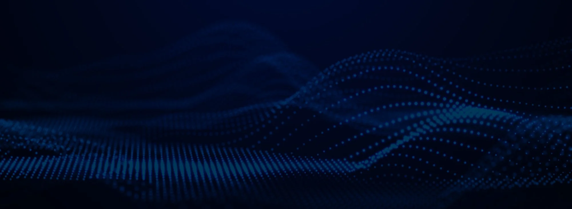 BLUEGEM CAPITAL PARTNERS