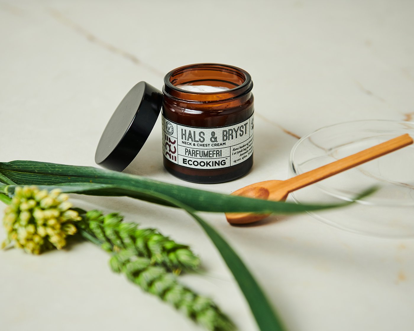 ECOOKING — BLUEGEM CAPITAL PARTNERS