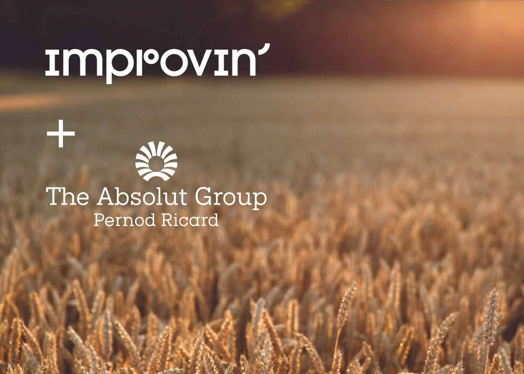 Absolut Vodka works with Improvin’ to advance its sustainable wheat ...