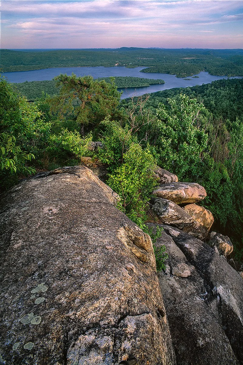 Highlands - Nature & Wildlife — Highlands Conservation