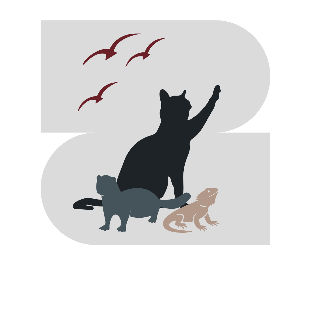 Understanding Cat and Dog Claw Anatomy and Their Essential Uses - Pet ...