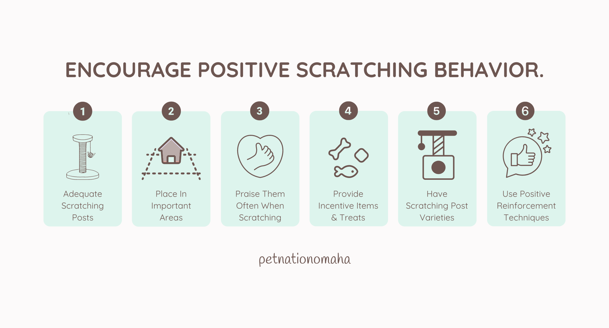 Why Do Cats Scratch? Understanding Your Feline's Behavior - Pet Nation ...