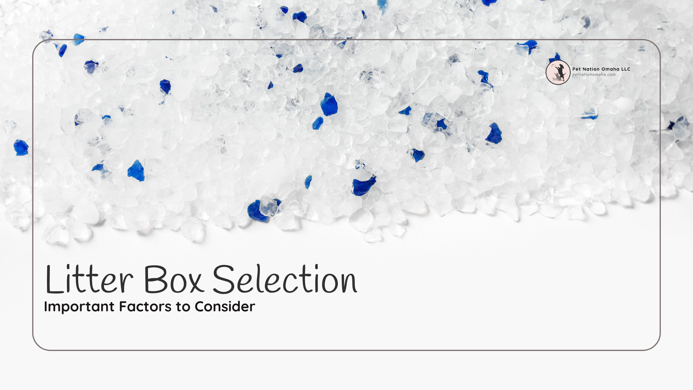 4 Key Factors to Consider When Choosing the Right Litter Box for Your ...