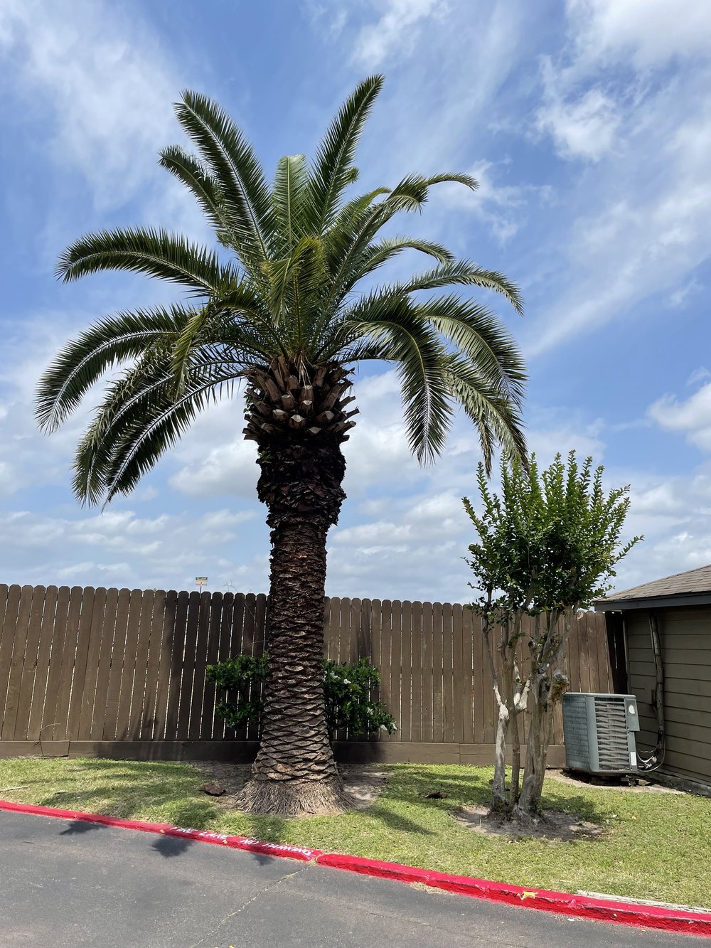 Gallery - Renovated Apartments in Houston — Altanova Apartments