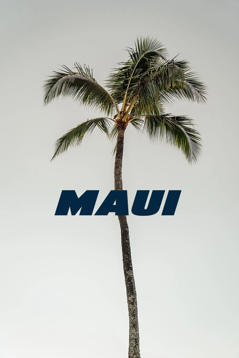 Hawaii Smile Designs: Orthodontists on Maui, Big Island, and Kauai