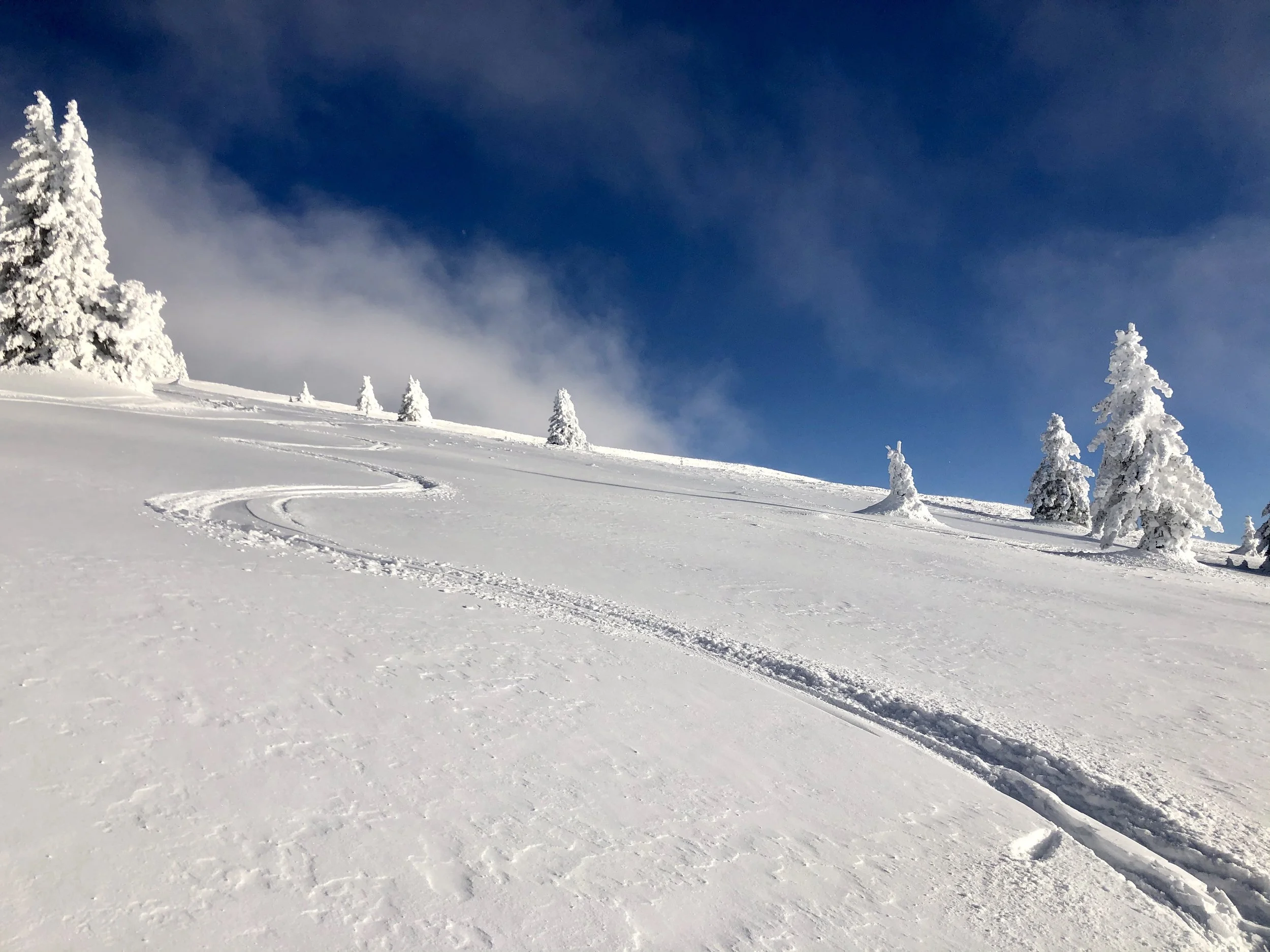 MT. TAYLOR WINTER QUADRATHLON