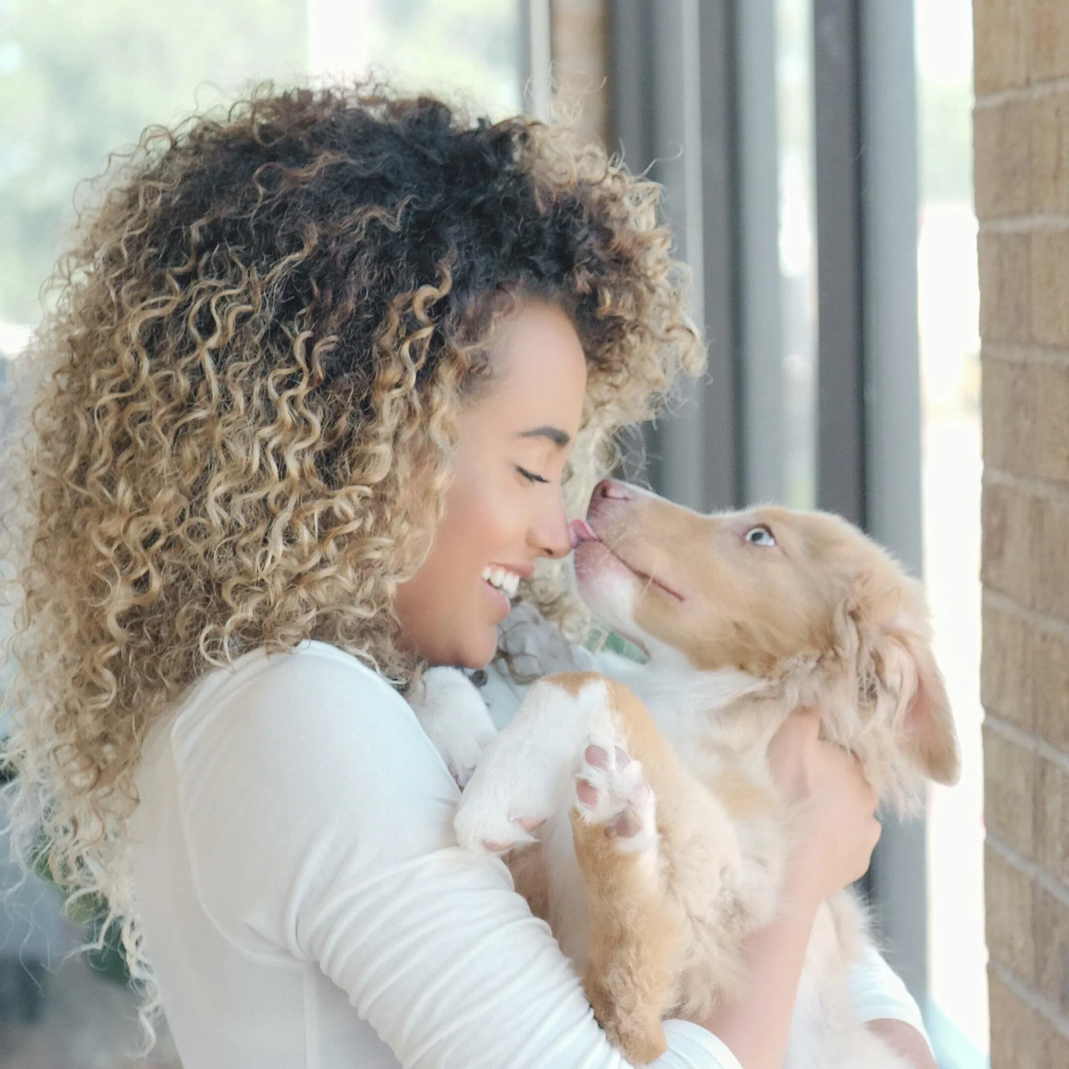 Animal Communication 101 — end & after Animal Communication