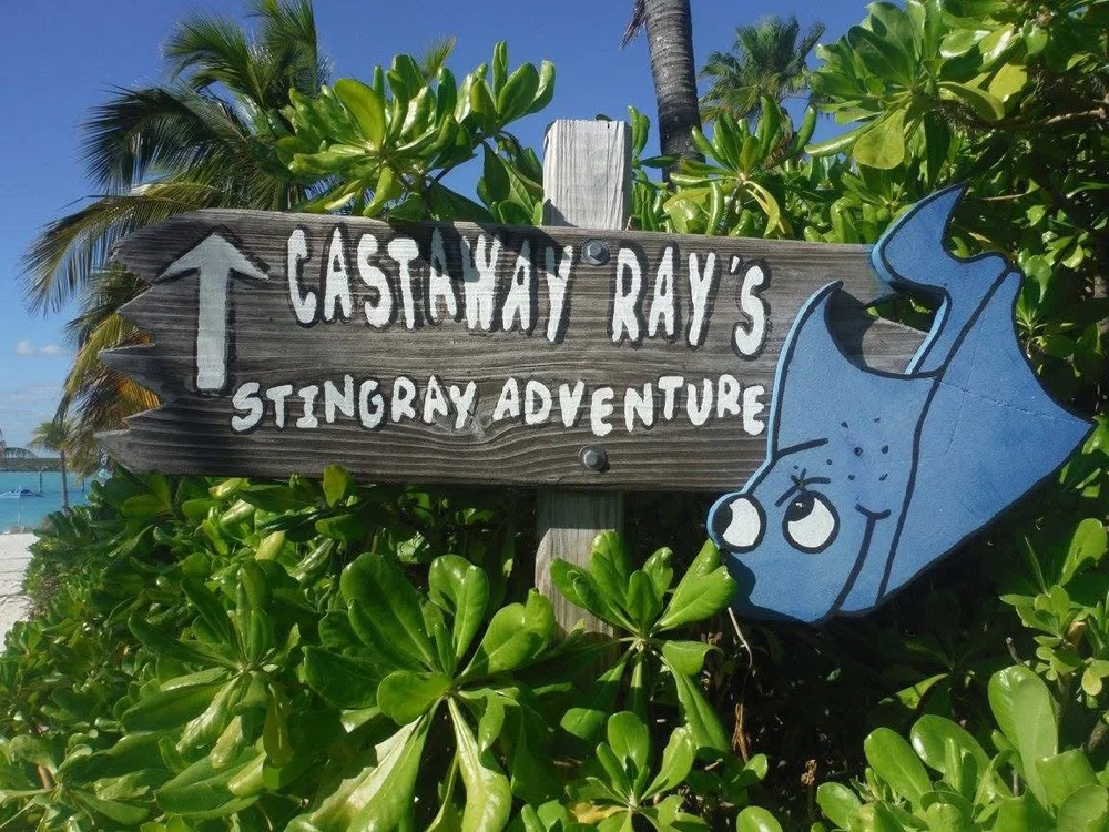 Castaway Cay Guide: What to Expect on Disney Cruise Line’s Private ...