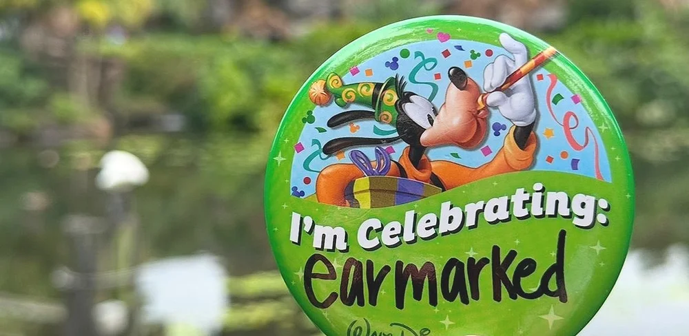 What Is a Disney Earmarked Agency? Why Booking with One Makes Your Trip ...