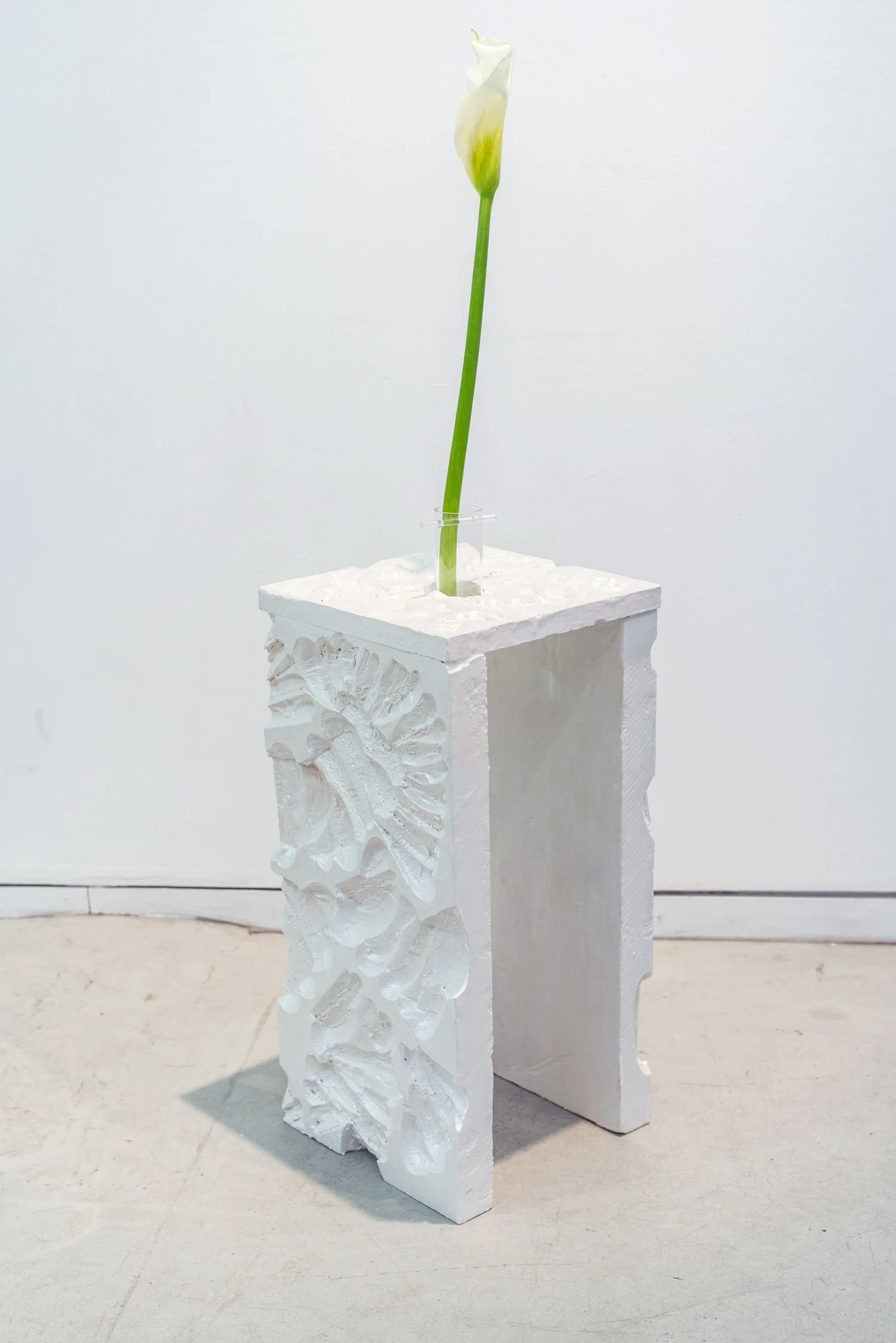Music for Chameleons Brendan Smith and Henry Barrett — Jack Barrett Gallery