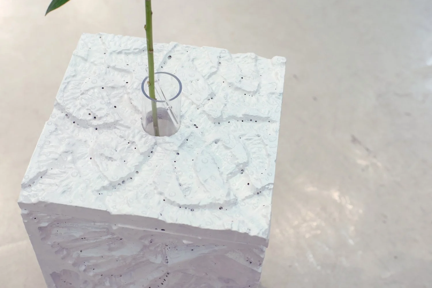 Music for Chameleons Brendan Smith and Henry Barrett — Jack Barrett Gallery