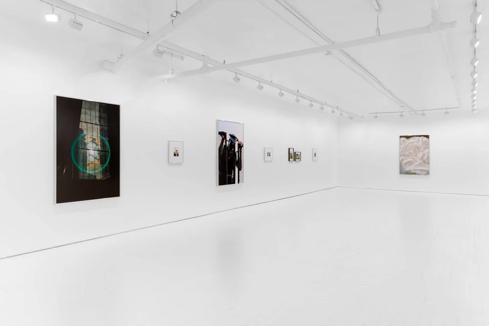 Daniel Terna - The Terrain — Jack Barrett Gallery