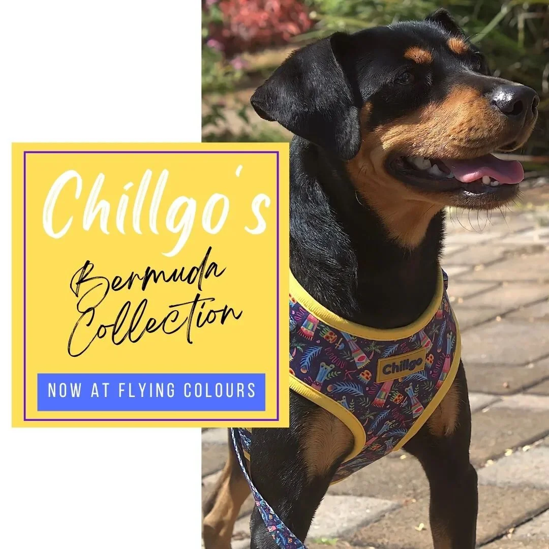 Chillgo Pet Products